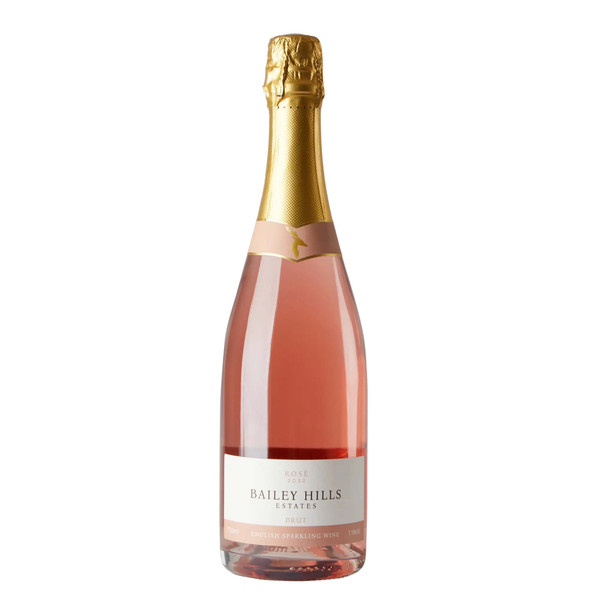 Rosé, 2022 – Bailey Hills
